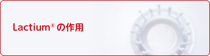 Lactium®の作用｜Lactium®ラクティウム